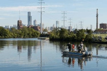 New Interactive MWRD Webpage Makes Waterway Data Accessible