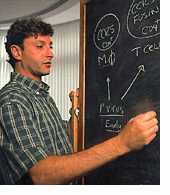 Dendritic Cells Presenters of HIV to The Lymphoid Tissue