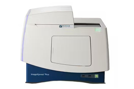ImageXpress Pico Automated Cell Imaging System