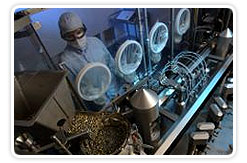 Sterile Injectables Contract Manufacturing