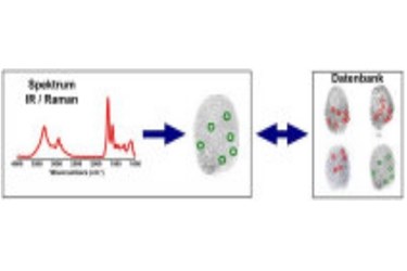 Researchers Develop Label-Free Automatic Cancer Diagnostics