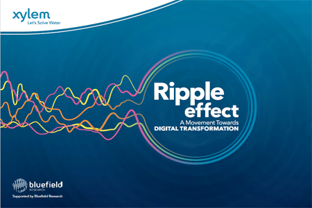 The Ripple Effect A Digitalization Playbook