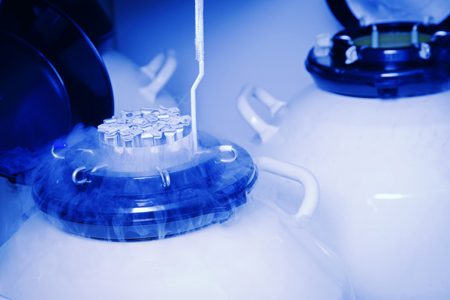 Industry Experts Find Creative Solutions To Optimize Cold Chain Logistics