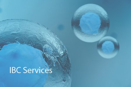 IBC