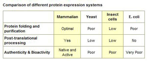 Extensive Range Of Purified Full Length Human Protein