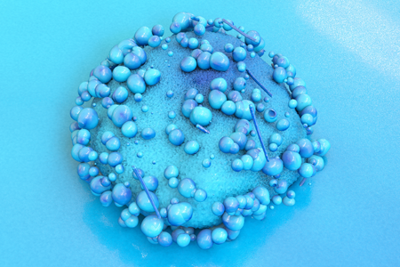 Upscaling Human Mesenchymal Stromal Cell Production In A Novel Vertical ...
