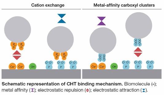 Monoclonal Antibody Purification Platform Using High-Capacity Protein A And Mixed-Mode ...