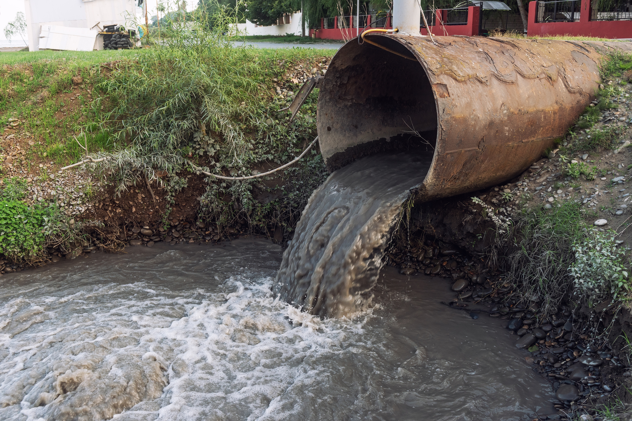 UBCO Researchers Recover Vital Resources From Wastewater Sludge
