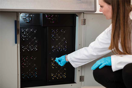 Sort Cells Using Data In Real Time