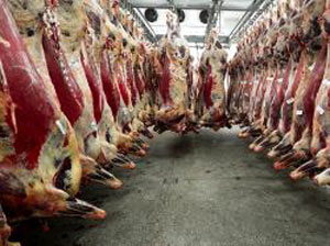 Canada's Meat Processing Industry Welcomes Additional Government ...