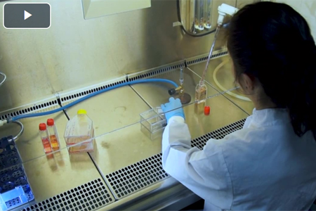 Affinity Chromatography Columns Impact On Drug Development Processes