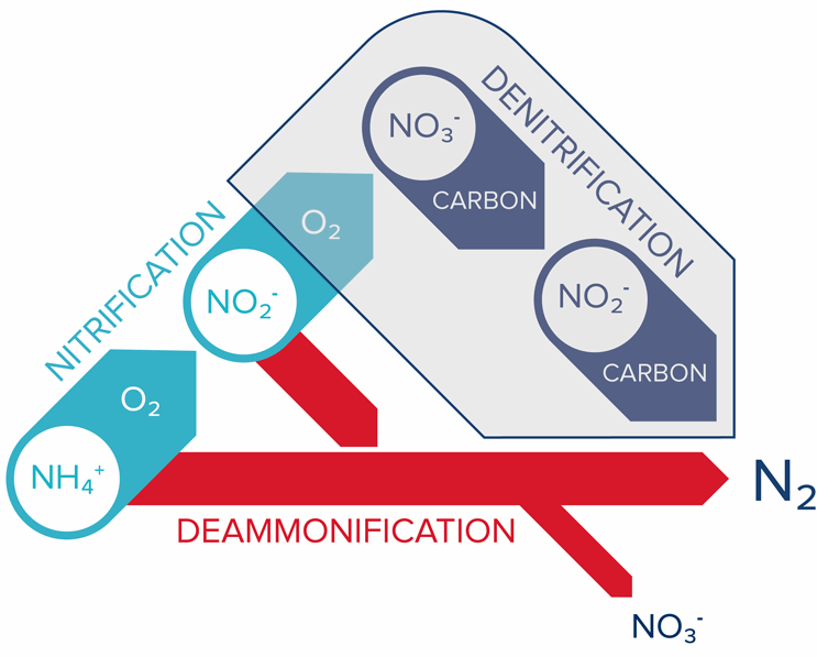 World Water Works Upgrades Deammonification Technology