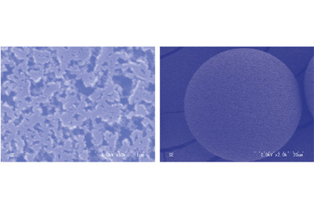 Protein A Resin Minimize The Impact Of Elution Buffer Selection