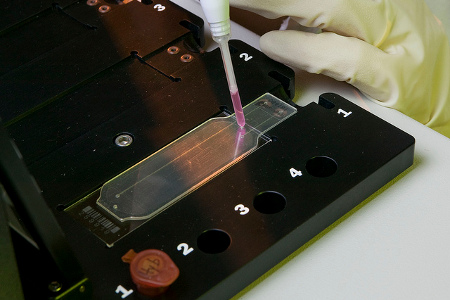 Government Researchers Develop Technology To Detect Bacterial Pathogens ...