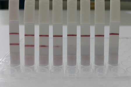 Where Does This Contamination Come From