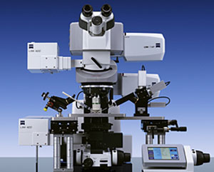 Carl Zeiss Meets Users' Wishes For High-resolution Multiphoton ...