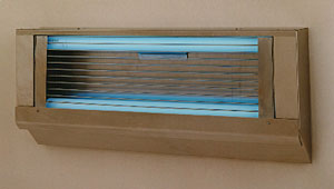 Professional Flytrap