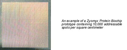 Zyomyx and Cambridge Antibody Technology collaborate to develop ...