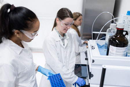 Enhancing mAb Platform Process using Membrane Chromatography ...