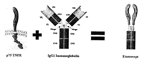 Breaking Down Amgen's Win In The Biosimilar Enbrel Patent Fight