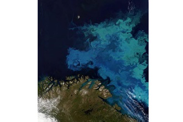 CGG Satellite Mapping Completes Barents Sea Seeps Study For Norwegian ...