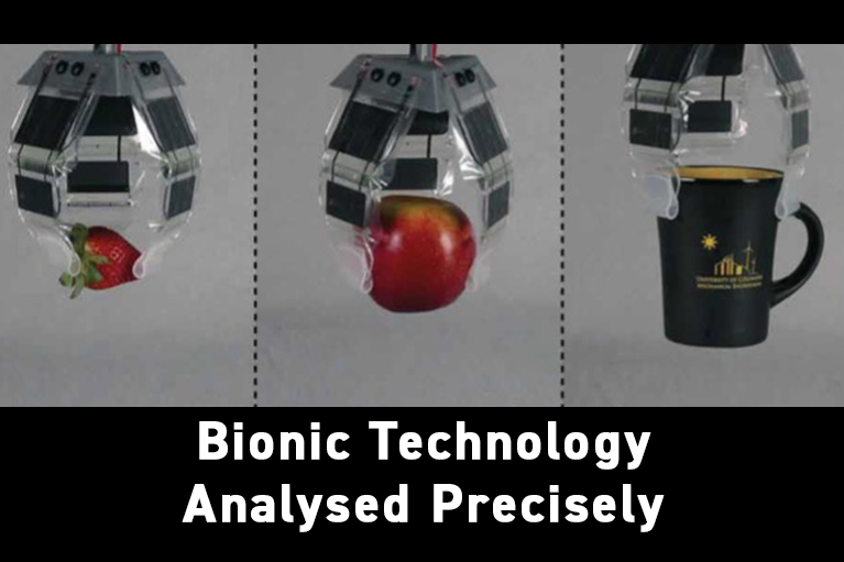 Bionic Technology Analyzed Precisely