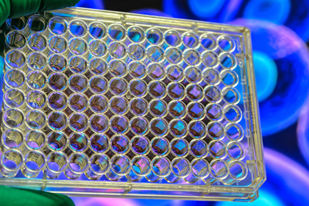 Combining Single-Cell Isolation And Microplate Imaging To Improve ...