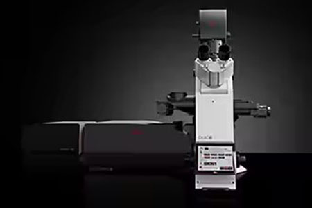 STELLARIS 8 STED Microscope