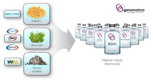 M&G Signs Strategic Partnership With Genomatica For Sustainable ...