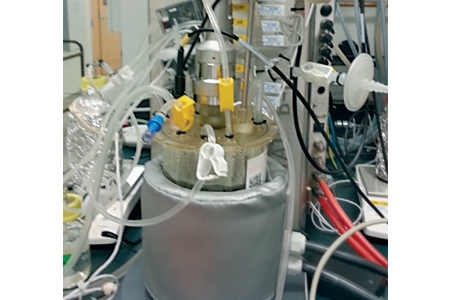 UniVessel Single Use Bioreactor For CHO Fed-Batch Cultures
