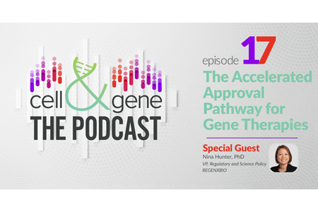 Requirements Of The Accelerated Approval Pathway