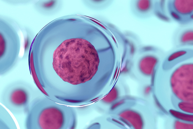 Increasing The Efficiency Of Drug Development With Preclinical Testing ...