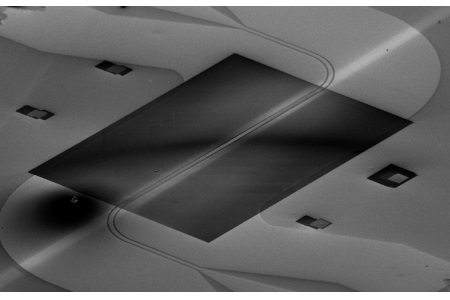 Ultrafast Tracking Of Electron Spins
