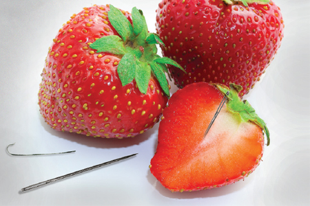 Detecting Needles And Wire In Food Manufacturing