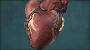Aspirus Heart & Vascular Institute First In Wisconsin To Implant ...