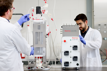 Scalability From 5L To 50L Using The DynaDrive Single-Use Bioreactor