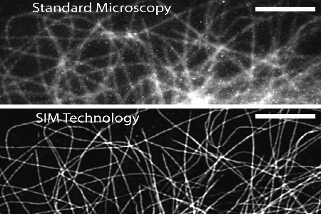 New Microscopes At NIH Reveal Live Developing Cells In Unprecedented 3 ...