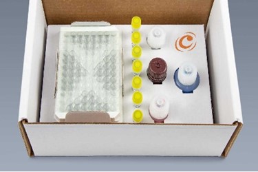 Easy ELISA Kits Provide Fast IgG Quantitation In 30 Minutes