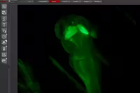 Life Science Microscope Software Platform