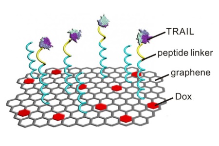 Graphene “Flying Carpet” Gives Cancer Therapeutics A Lift