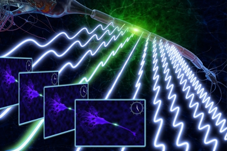 Researchers Develop New Type Of Fluorescent Camera For Blood ...