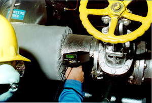 Digital Ultrasonic Inspection System with On-Board Memory